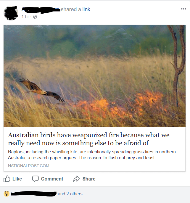 Birds Starting Fires Intentionally? (National Post) – Four Moves