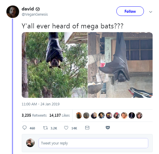 Mega Bats – Four Moves